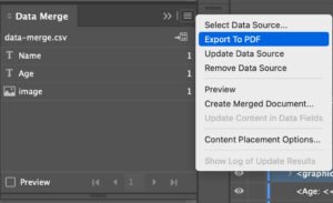 How to Use InDesign Data Merge for Text and Image Automation - Be the Bean