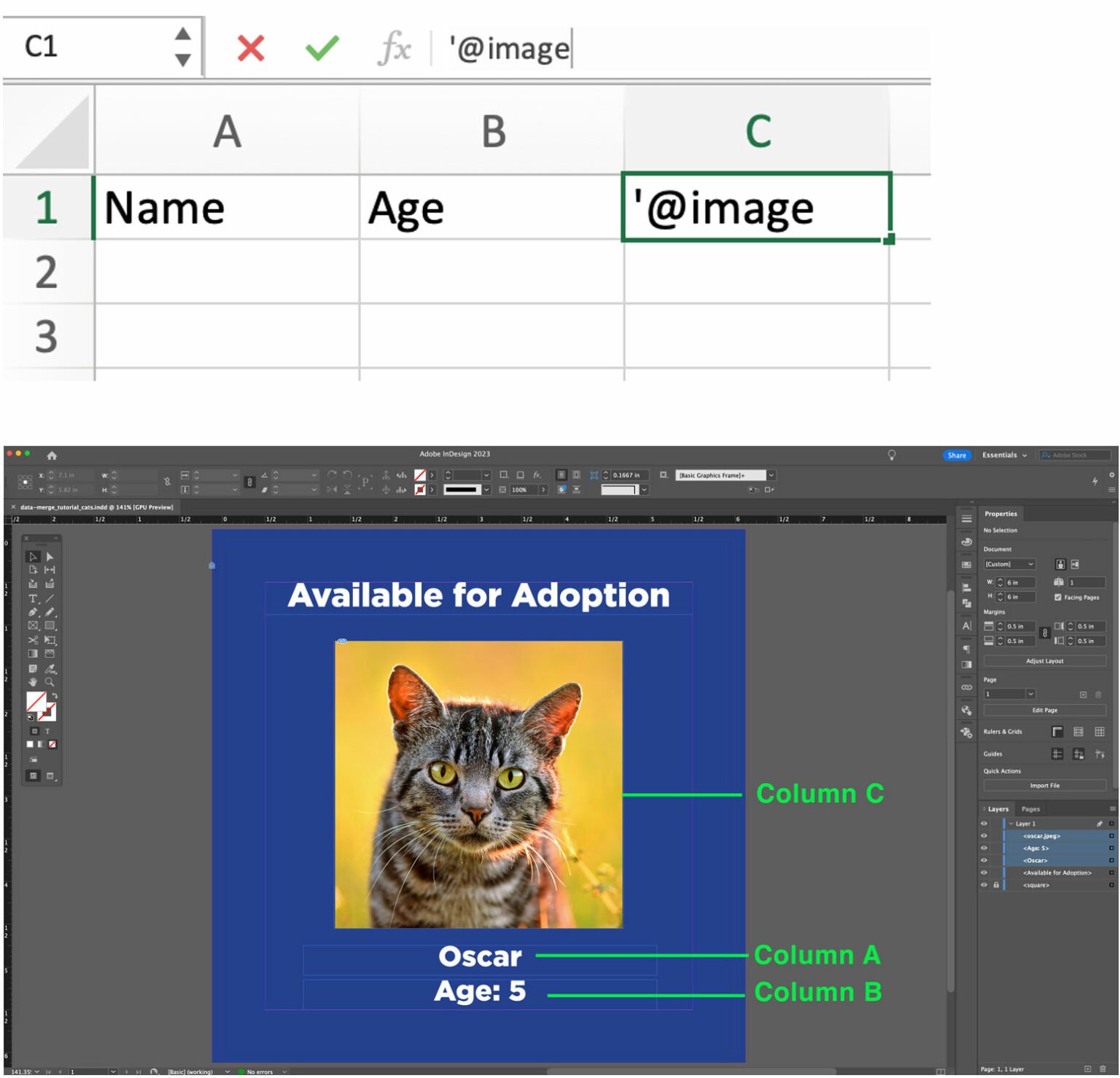 How To Use Indesign Data Merge For Text And Image Automation Be The Bean