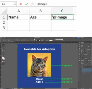 How to Use InDesign Data Merge for Text and Image Automation - Be the Bean