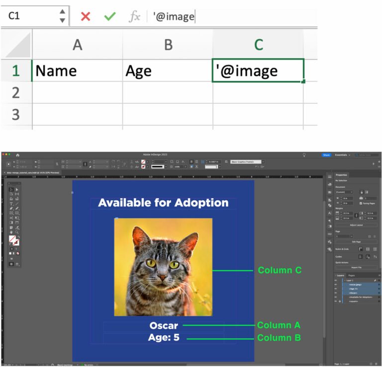 How to Use InDesign Data Merge for Text and Image Automation - Be the Bean