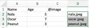 How to Use InDesign Data Merge for Text and Image Automation - Be the Bean