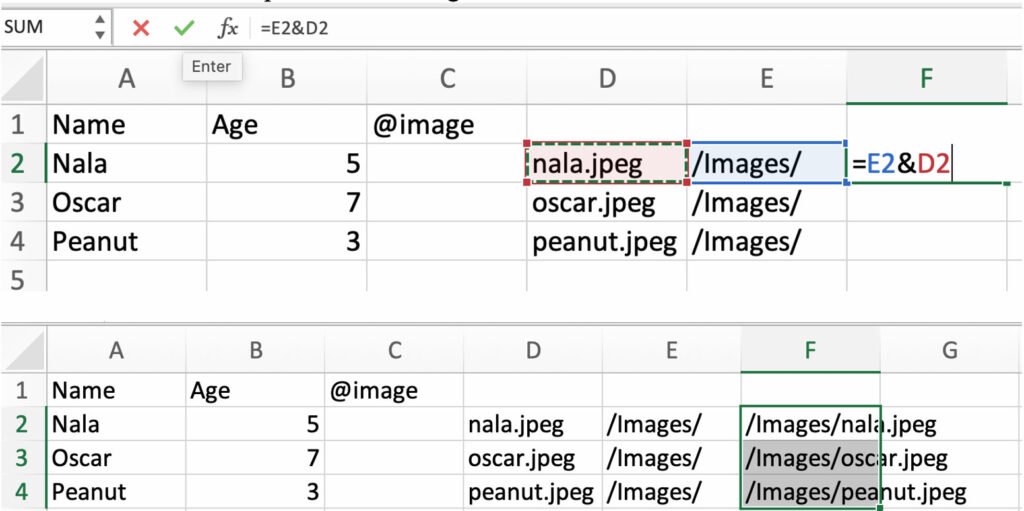 How to Use InDesign Data Merge for Text and Image Automation - Be the Bean