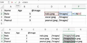 How to Use InDesign Data Merge for Text and Image Automation - Be the Bean