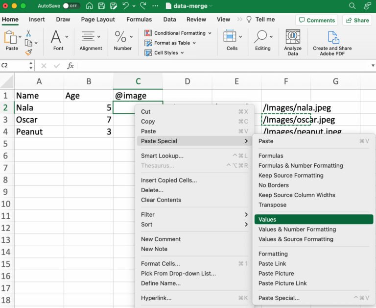 How to Use InDesign Data Merge for Text and Image Automation - Be the Bean