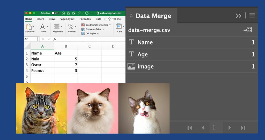How to Use InDesign Data Merge for Text and Image Automation - Be the Bean
