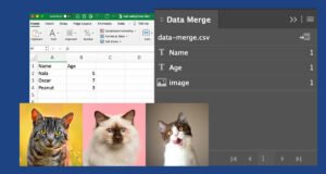 How to Use InDesign Data Merge for Text and Image Automation - Be the Bean